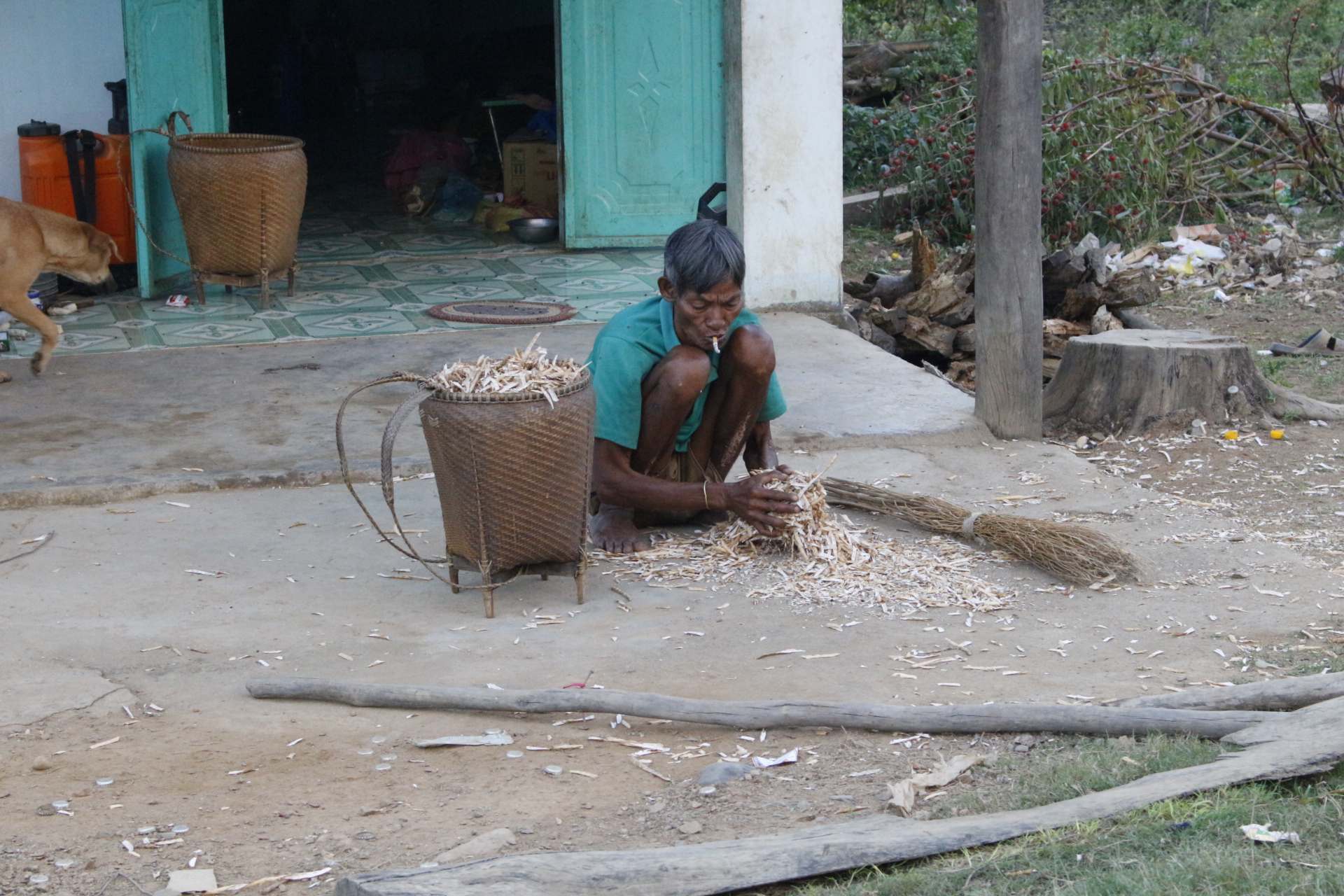 Anh Hưng – Selena Sprout